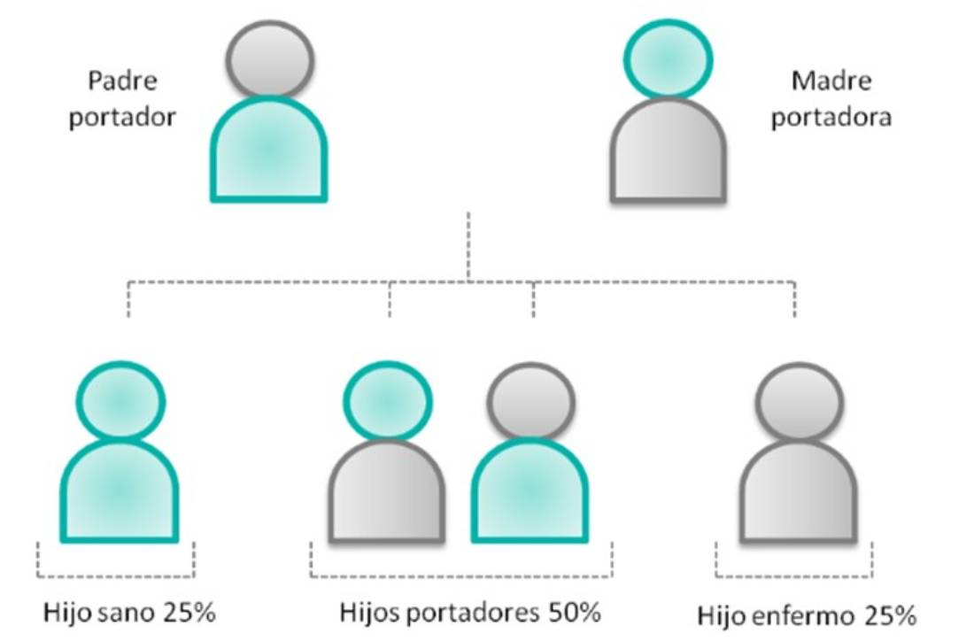 Test de Compatibilidad Genética | Hospital Universitario Fundación ...